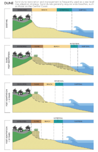 Sea Level Rise Adaptation Options - Ventura County Resource Management ...